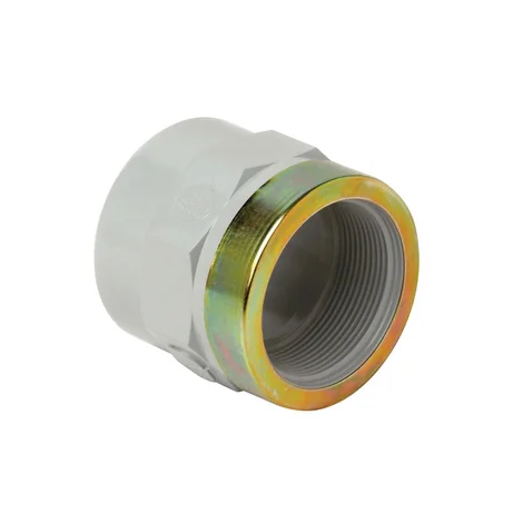 CPVC 63mm x 2 Socket Plain Threaded Band