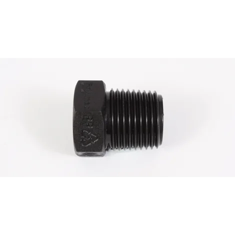 Philmac BSP Threaded Bush 2 x 1